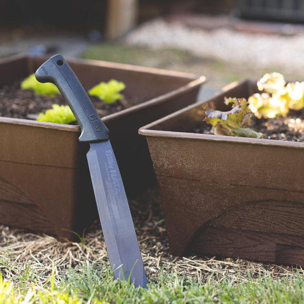 méta-description et alt - Axeman.ca