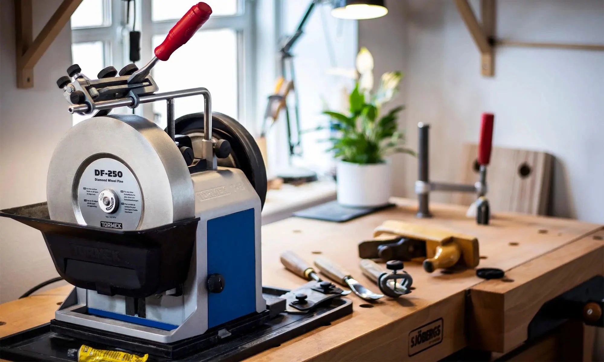 Proven Maintenance Tips for Wet Stone Grinders - Axeman.ca